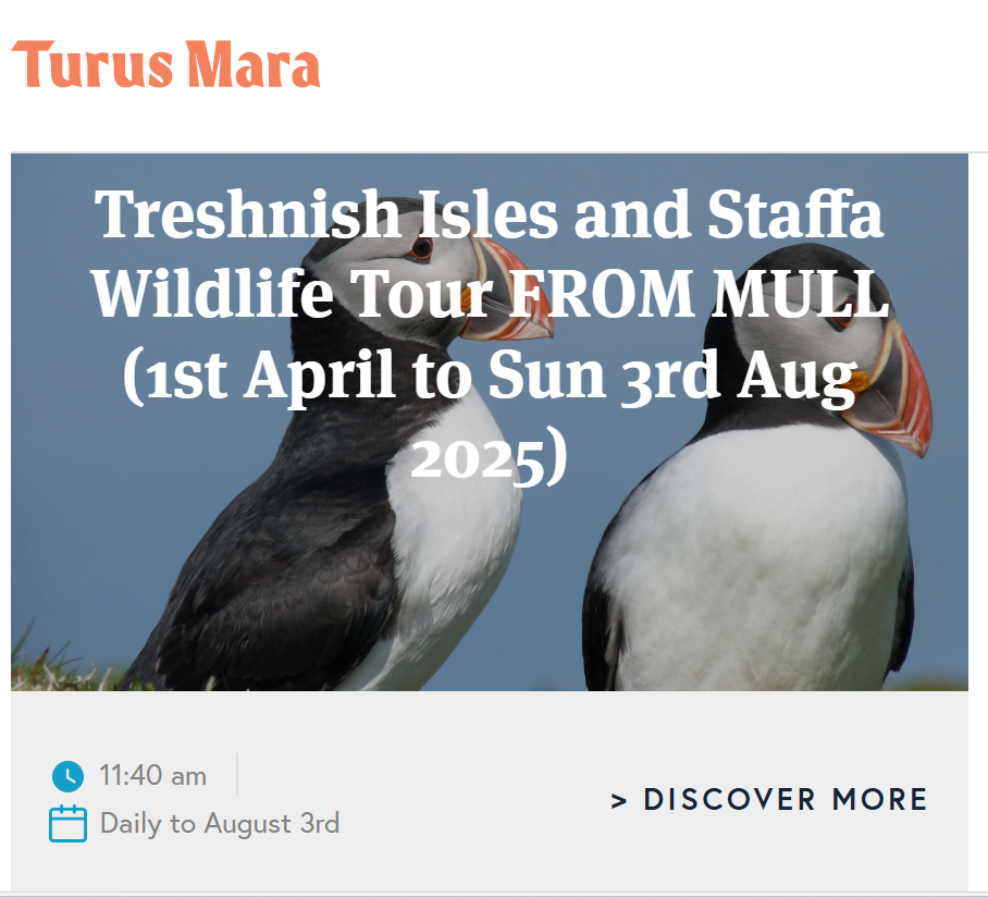 2025 Turus Mara Trips now available to book on the website. - Turus Mara