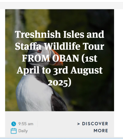 2025 Turus Mara Trips now available to book on the website. — Turus Mara