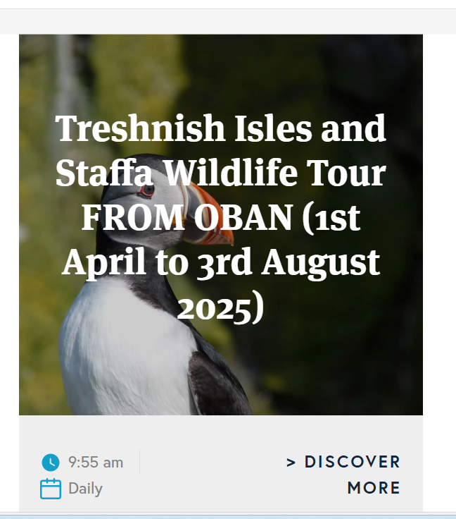 2025 Turus Mara Trips now available to book on the website. - Turus Mara