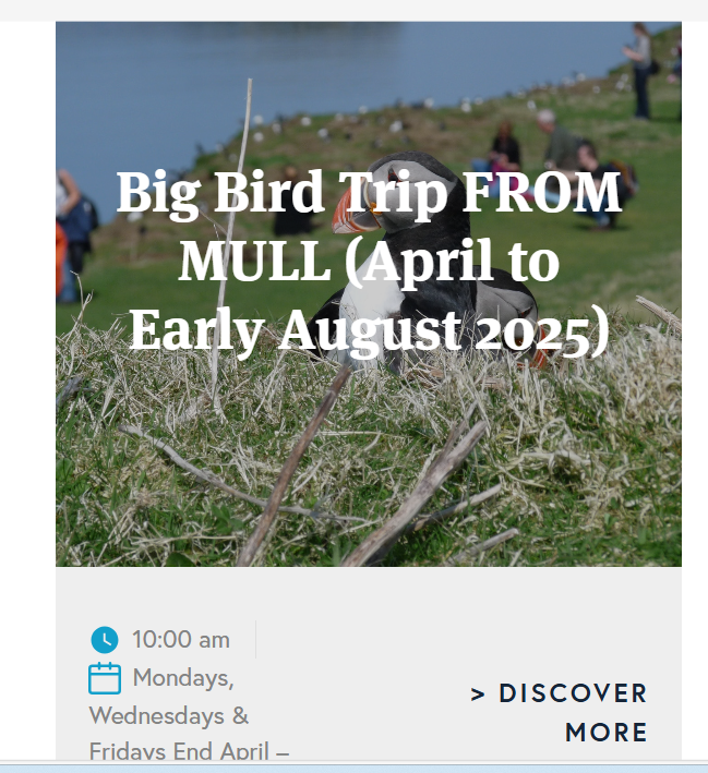 2025 Turus Mara Trips now available to book on the website. - Turus Mara